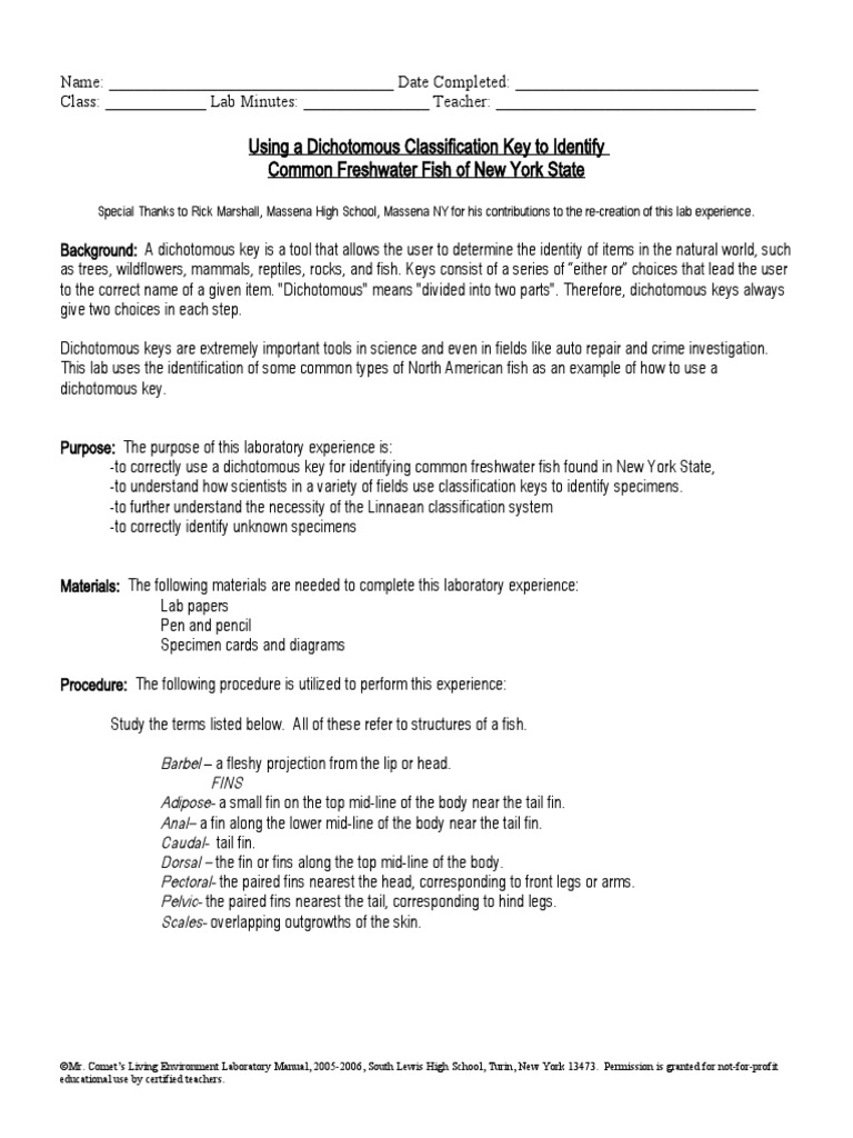 Using A Dichotomous Classification Key To Identify Common Freshwater ...