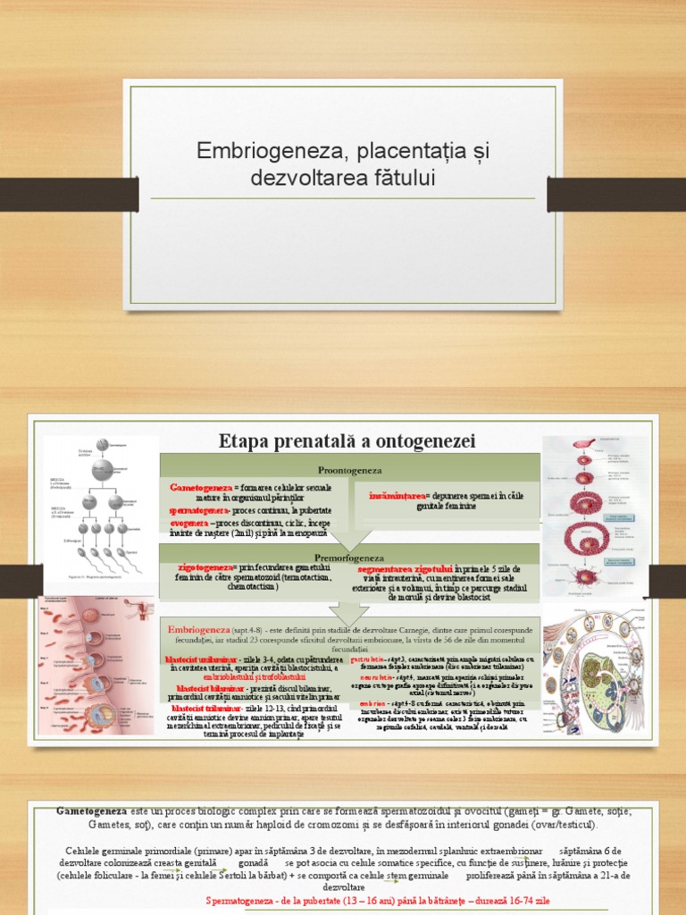 Embriogeneza Placentatia 1 | PDF