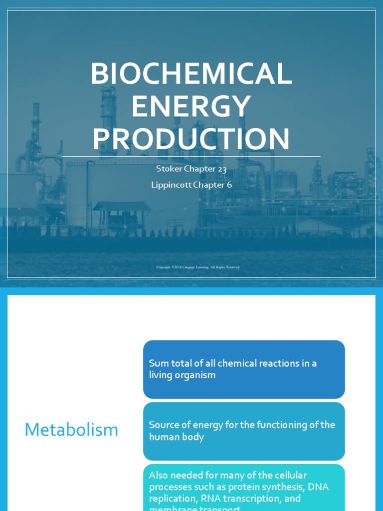 Biochemical Energy Production | PDF | Electron Transport Chain ...