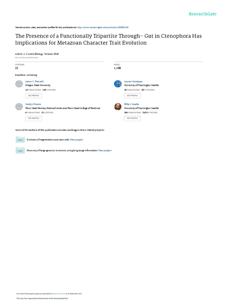 Gut in Ctenophora and Evolution of Chordates | PDF | Social Science