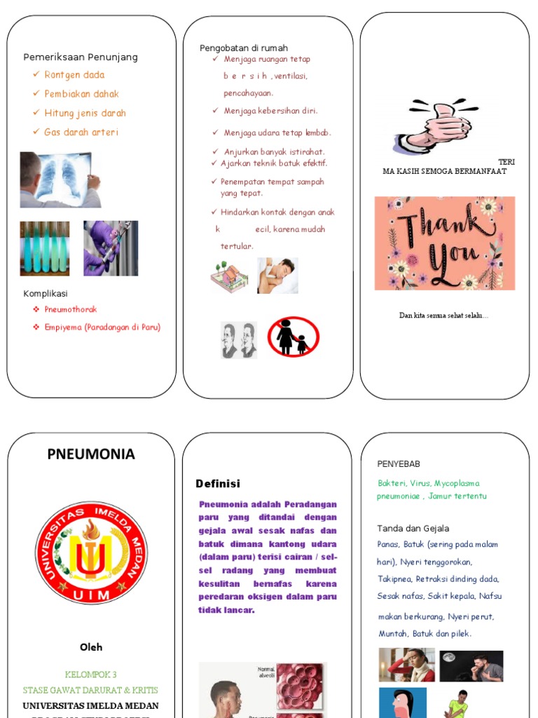 Leaflet Pneumonia | PDF