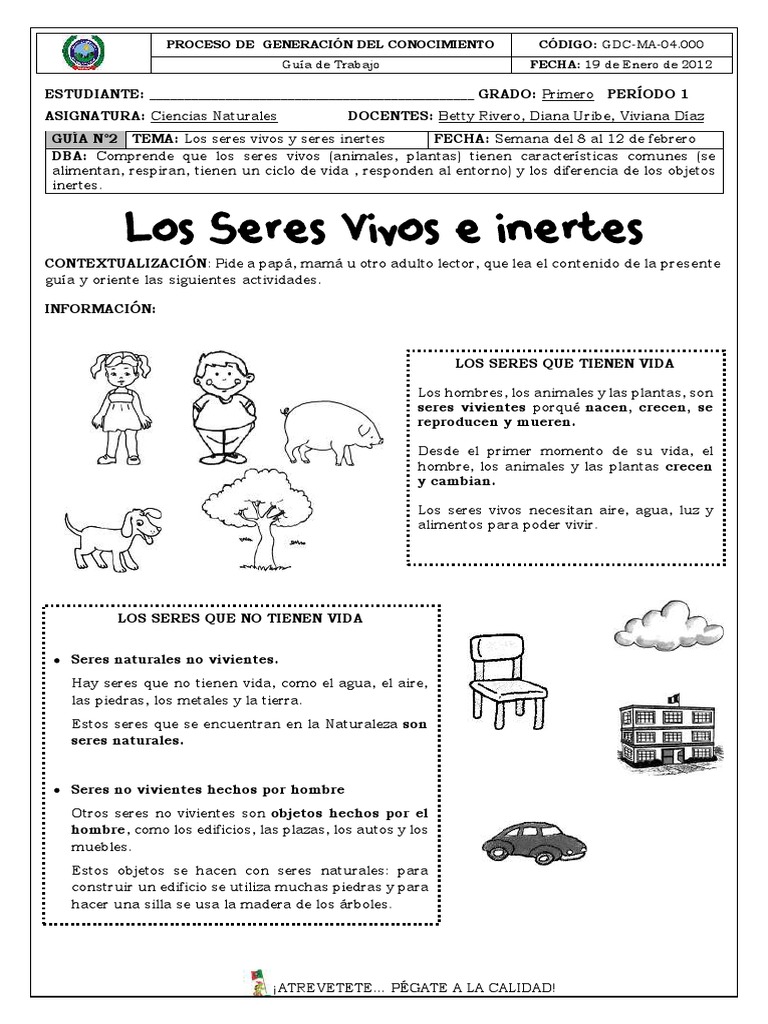 Actividades sobre Seres Vivos e Inertes | PDF | Vida | Plantas