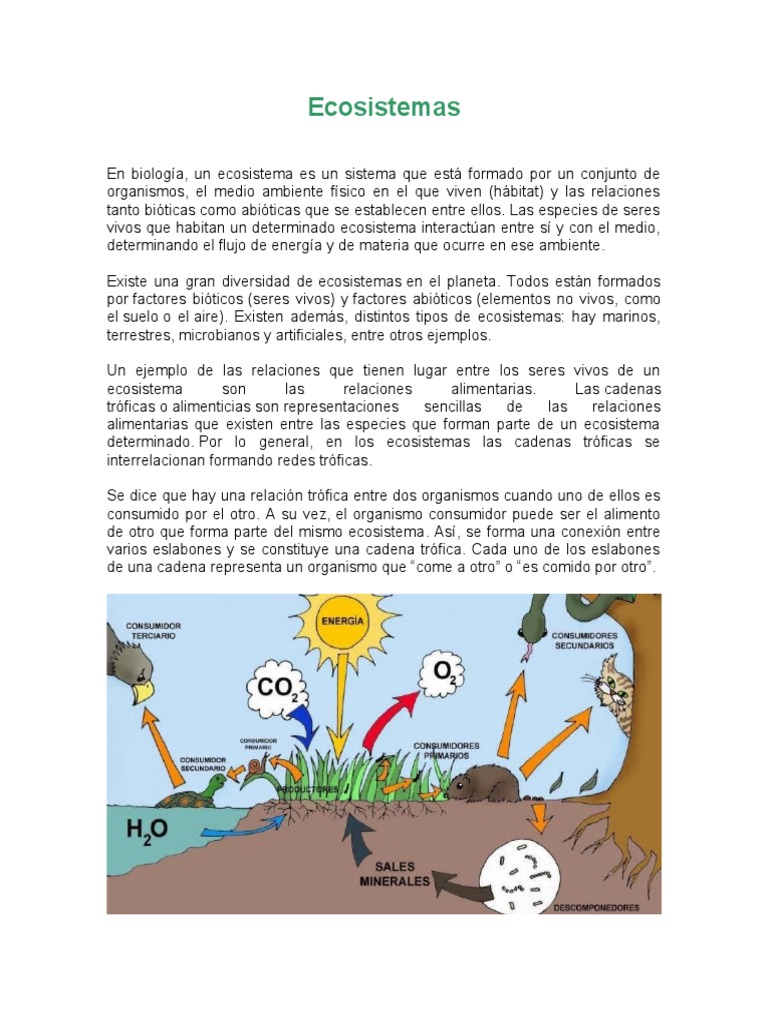 Ecosistemas y Red Trofica | PDF | Ecosistema | Red alimentaria