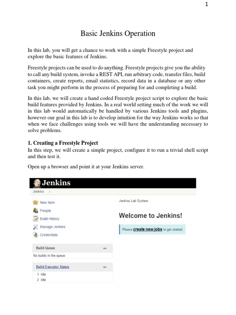 Lab 2 Basic Jenkins Operation Pdf Command Line Interface