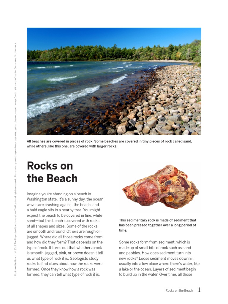Printable Article Rocks On The Beach | PDF | Magma | Rock (Geology)