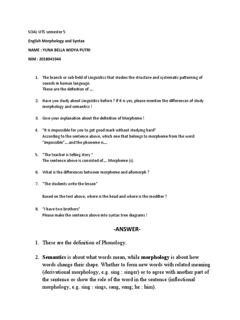 English Morphology And Syntax Pdf