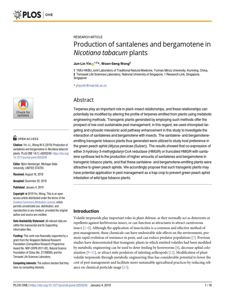 Production of Santalenes and Bergamotene in Nicotiana Tabacum Plants ...