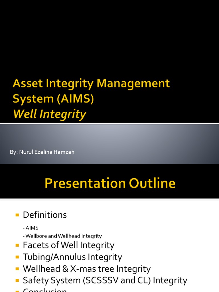 Asset Integrity Management System (AIMS) Well Integrity | PDF | Casing ...