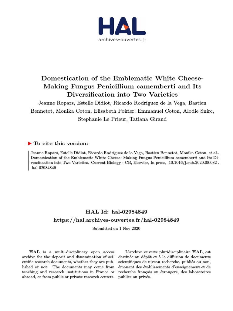 Domestication of Penicillium camemberti | PDF | Fungus | Maize