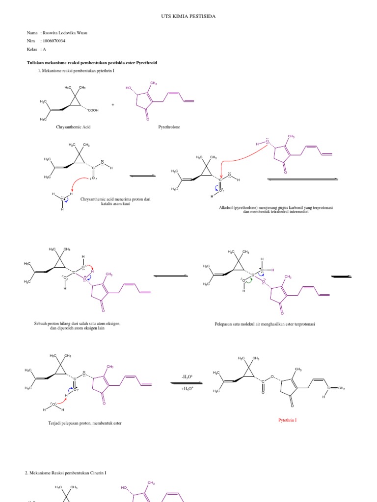 Mekanisme Reaksi Pembentukan Pyrethroid | PDF