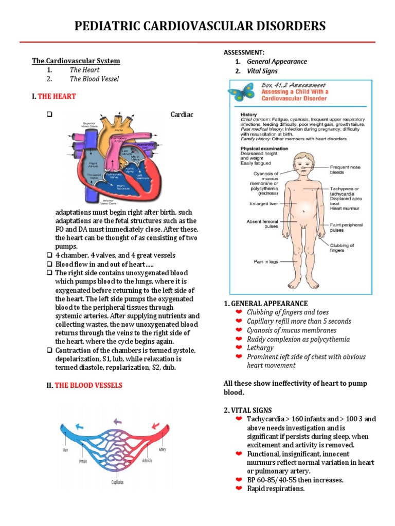 Pediatric Cardiovascular Disorders | PDF | Congenital Heart Defect | Heart
