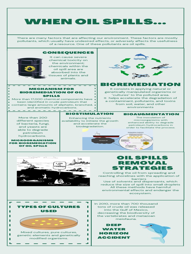 Bioremediation of Oil Spills: Mechanisms, Microorganisms Involved, and ...
