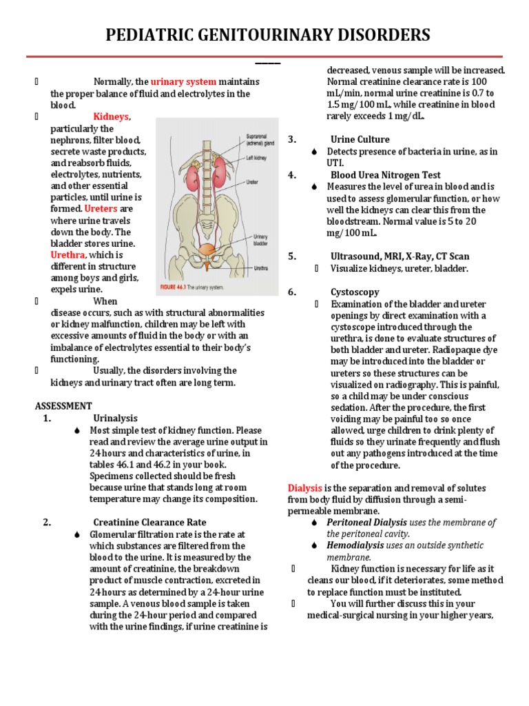 Pediatric Genitourinary Disorders | PDF | Urinary Tract Infection ...