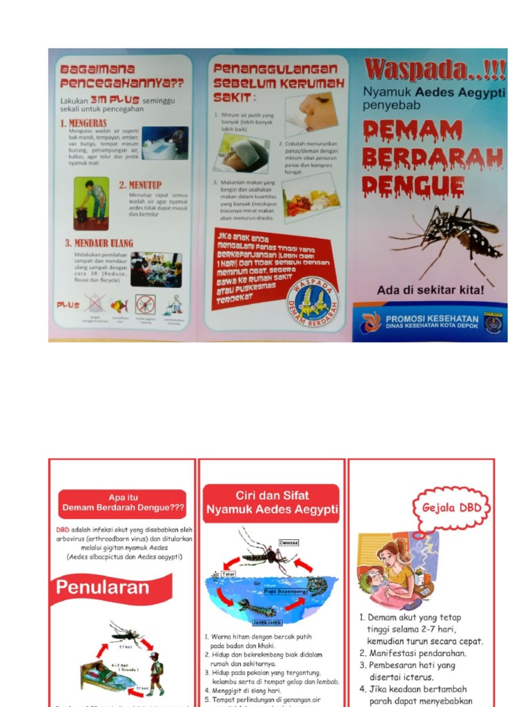 Leaflet DBD | PDF