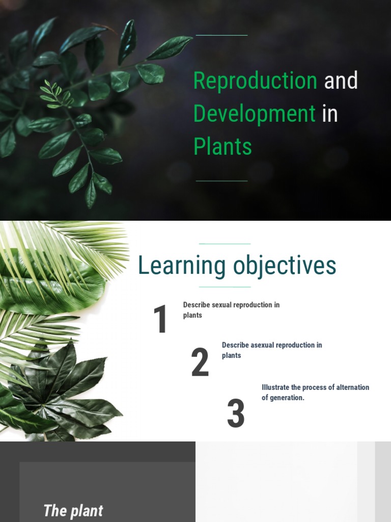 Plant Reproduction and Development | PDF | Fertilisation | Sexual ...