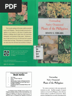 Kalachuchi Tree: A Filipino Legacy | PDF