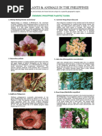 Ibat Ibang Gawain NG Pamilya | PDF