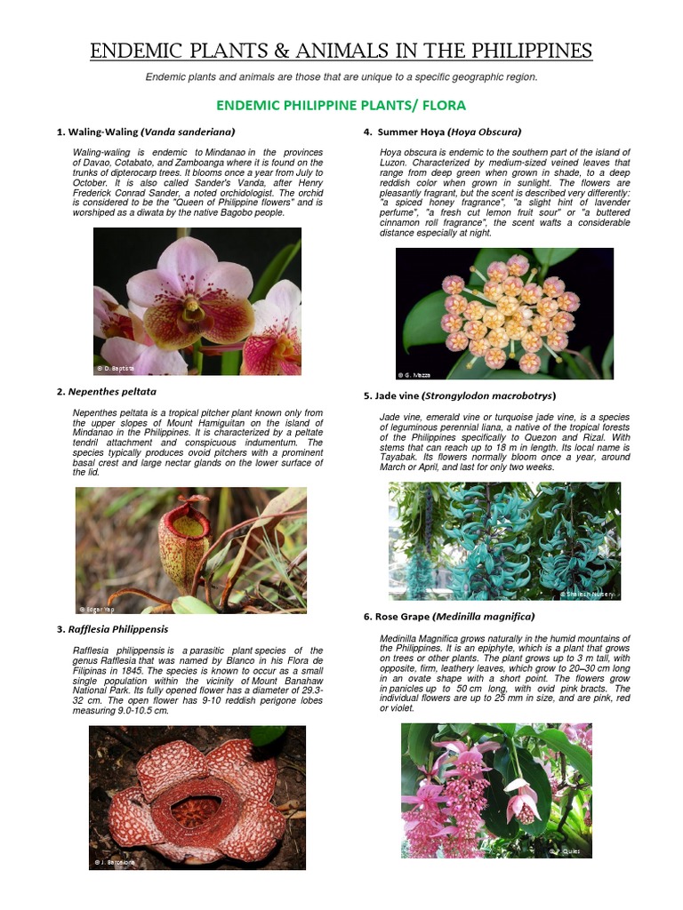 Endangered Plants With Their Names