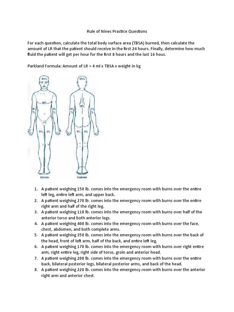 Rule Of Nines Practice Flashcards – NCIPEN