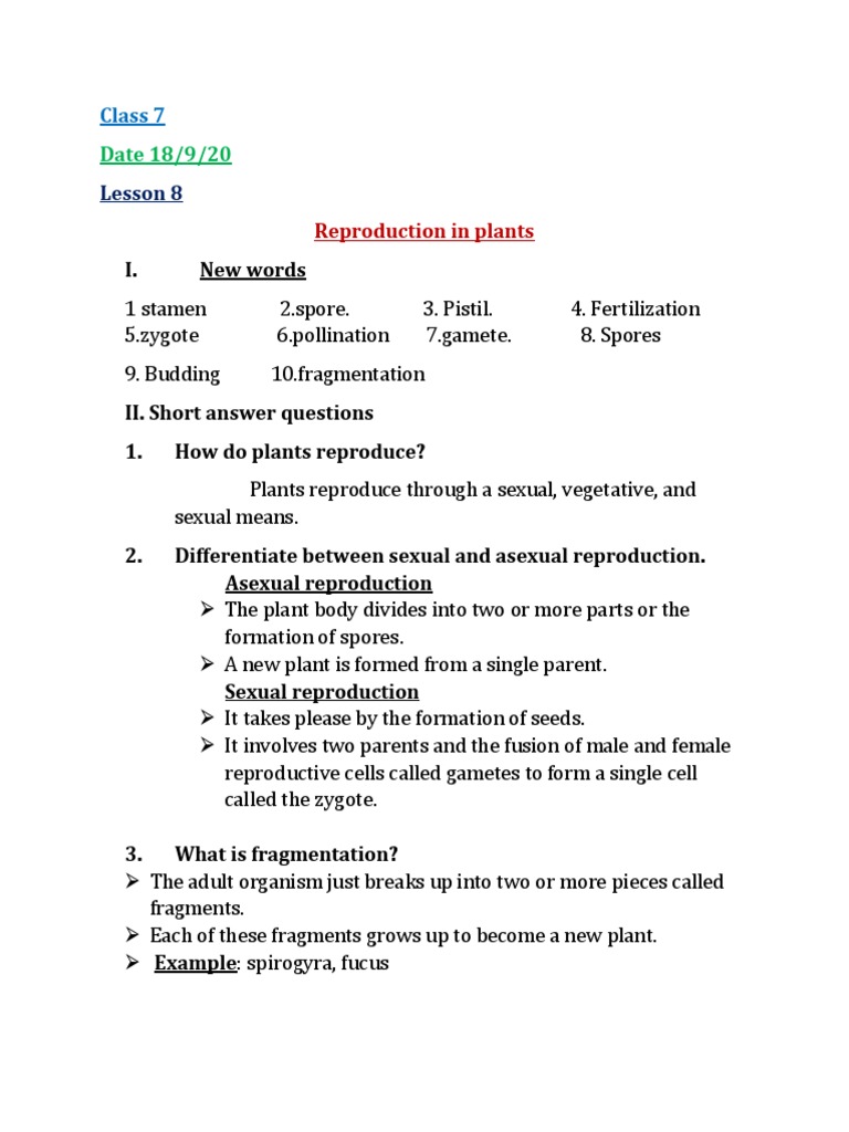 Reproduction in Plants: A Comprehensive Look at Sexual and Asexual ...