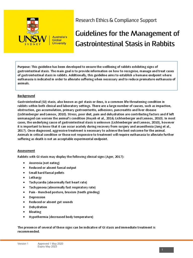 Rabbit GI Stasis Management Guide | PDF | Self-Improvement | Wellness