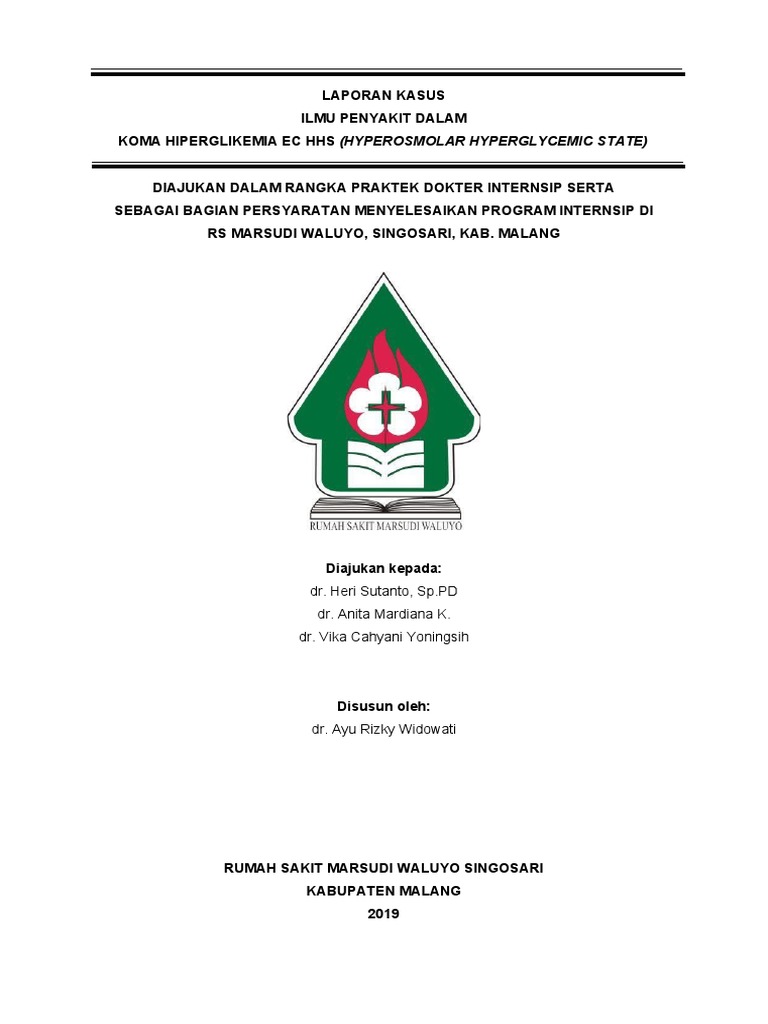 Lapsus HHS | PDF