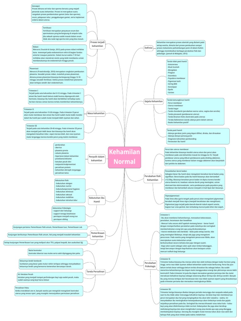 Mind Map Kehamilan Normal | PDF