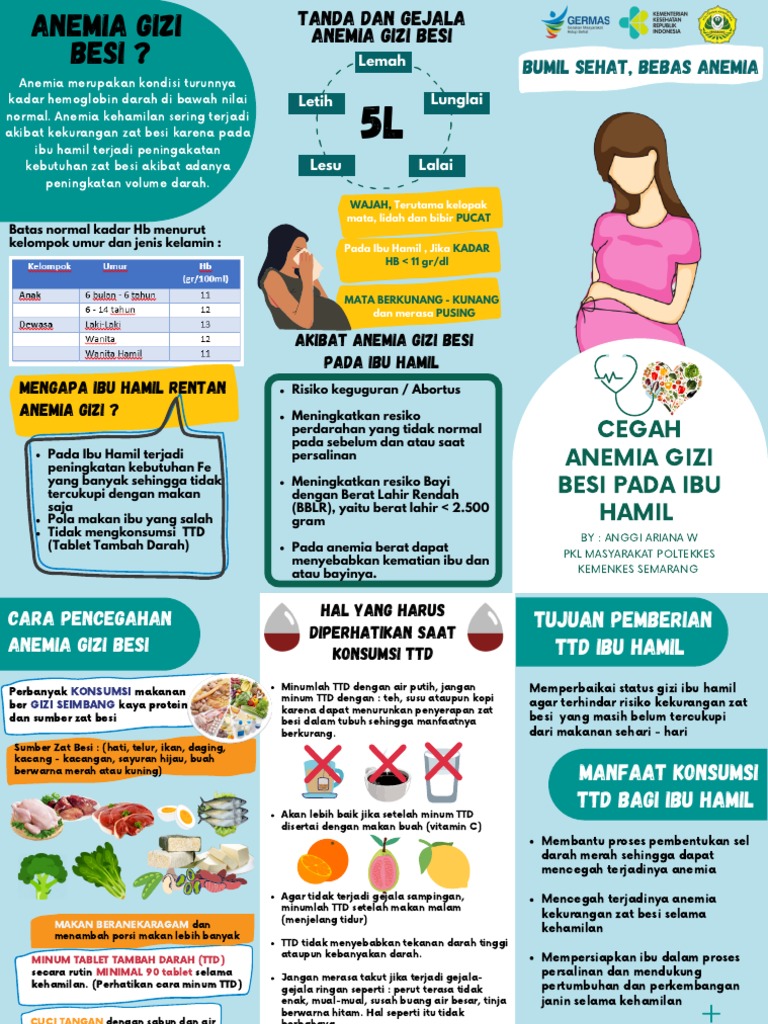 Pencegahan Anemia pada Ibu Hamil | PDF | Kesehatan Holistik