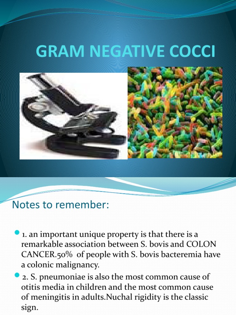 Overview of Gram-Negative Cocci | PDF | Salmonella | Diarrhea