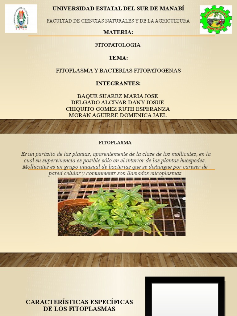 Fitoplasmas y Bacterias Fitopatógenas | PDF | Las bacterias | Plantas