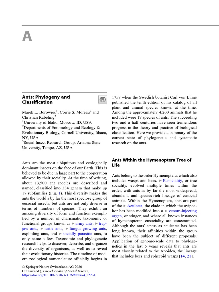 Ants: Phylogeny and Classification: Ants Within The Hymenoptera Tree of ...