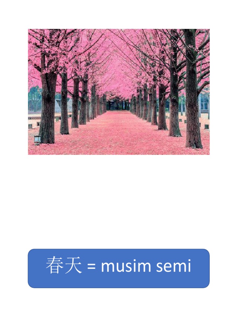 Musim Semi | PDF