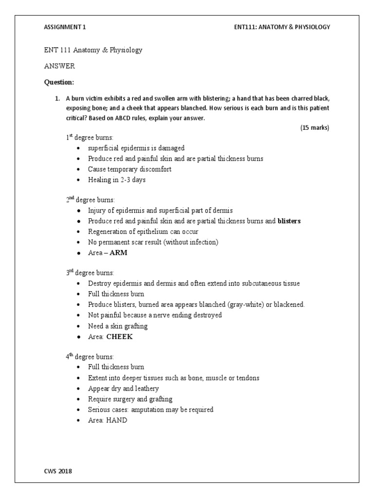 Assignment 1 Answer Scheme | PDF