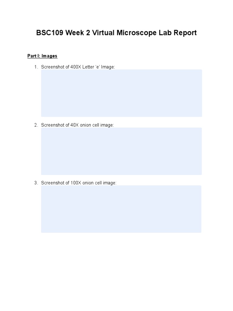 Bsc109 Week 2 Lab Report Pdf 