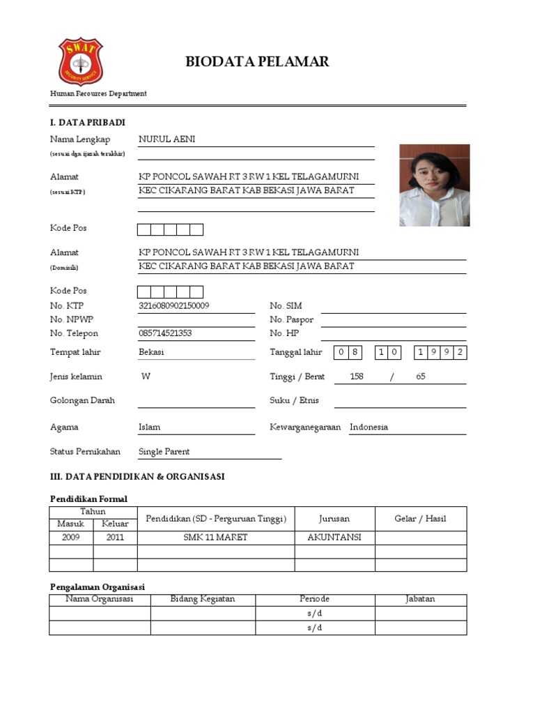 Biodata Pelamar Kerja | PDF