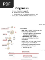 24 Hour Chick Embryo - Embryology Lab | PDF | Reproduction | Anatomy