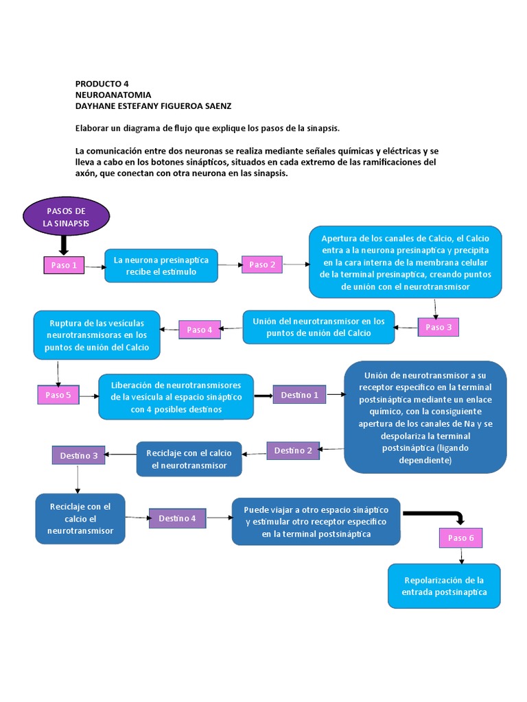 Diagrama De Sinapsis Sin Etiquetar