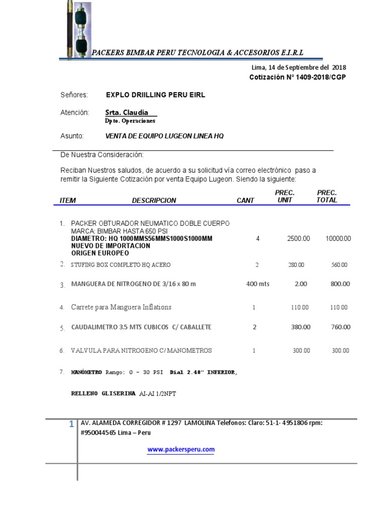 Obturador HQ Doble Packer Bimbar | PDF