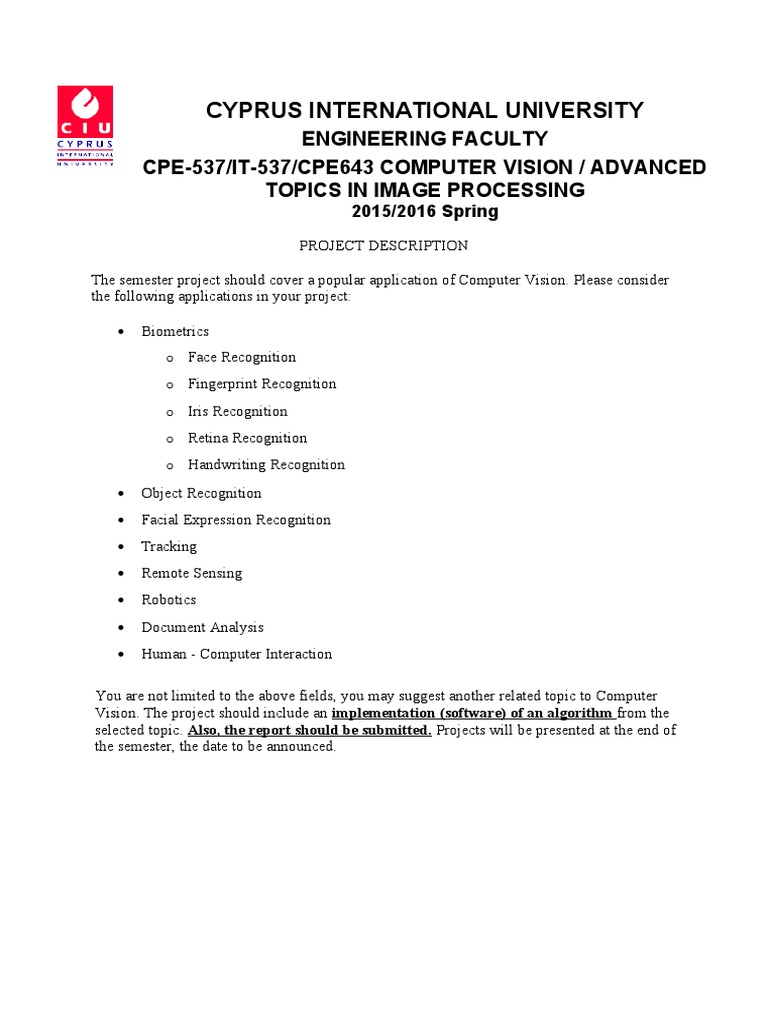 Computer Vision - Project | PDF