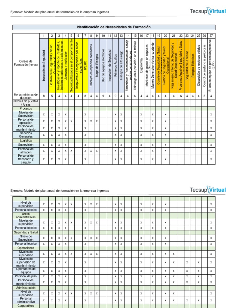 Modelo Del Plan Anual de Formación en La Empresa Ingemas | PDF ...