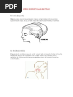 Ubicación del pulso cubital | PDF