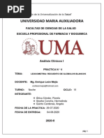 Recuento Diferencial de Leucocitos Mafer Rodriguez | PDF | Leucocito | Sistema inmune