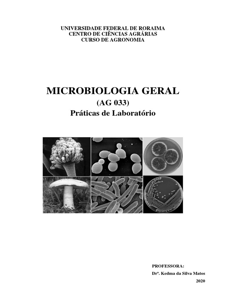 Apostila Microbiologia Geral | PDF | Esterilização (Microbiologia) | Fungo
