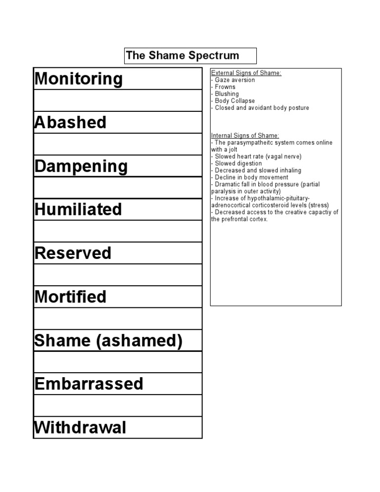 Shame Sheet | PDF