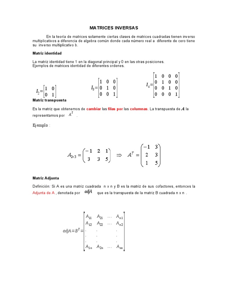 Adjunta de Una Matriz | PDF