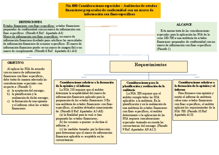 Mapa NIA 800 Alejandrina Plúa | PDF | Auditoría | Estado financiero