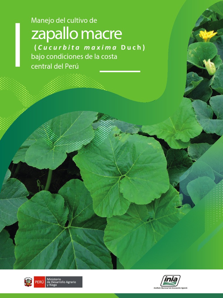 Manejo Del Cultivo de Zapallo Macre (Cucurbita Maxima Duch) Bajo Las ...