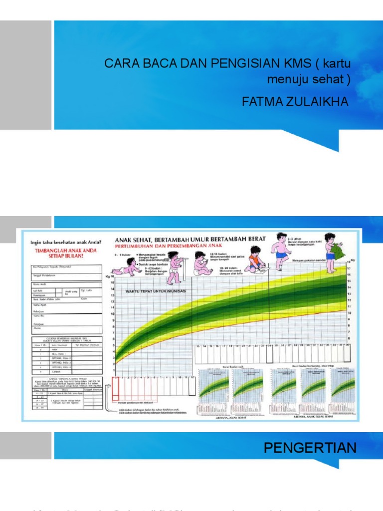 Panduan Pengisian Kartu Menuju Sehat | PDF