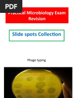 Microbiology Nuts & Bolts | PDF | Infection | Bacteria