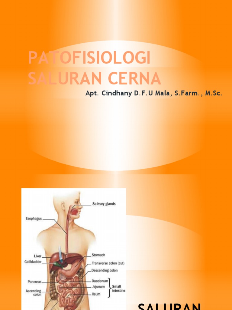 Patofisiologi Saluran Cerna